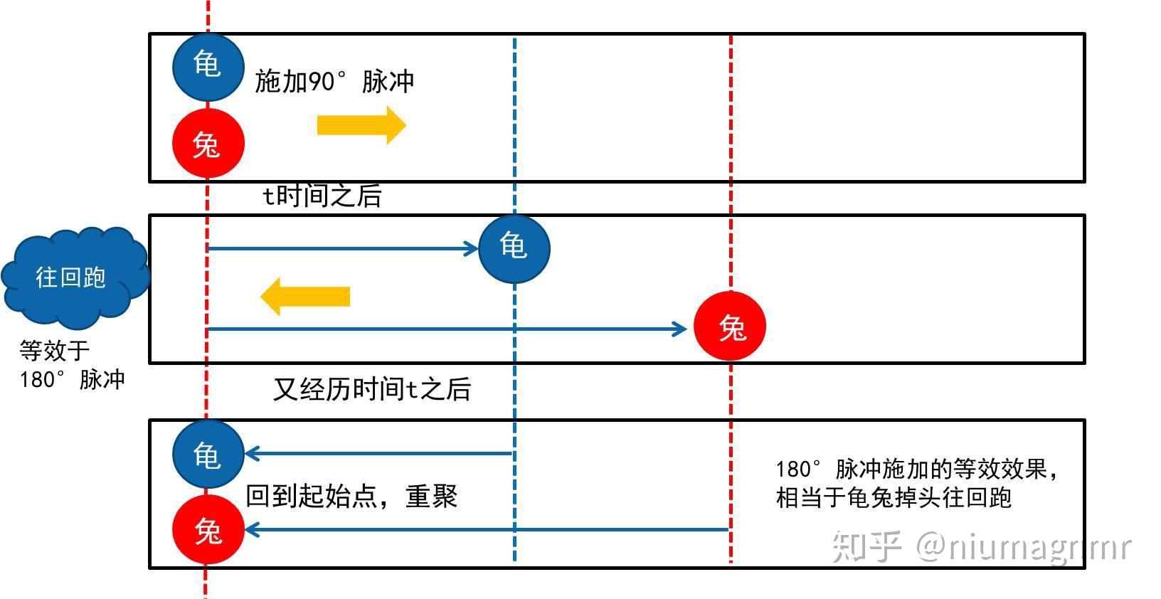 为什么要用CPMG序列测试T2？ - 知乎