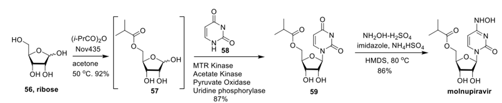 COVID-19│Molnupiravir：具有口服活性的抗SARS-Cov-2病毒药物 - 知乎