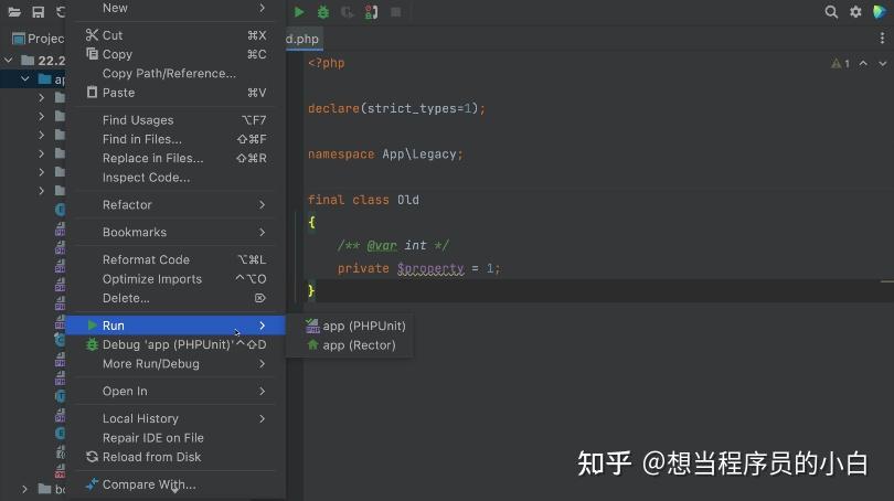 php开发工具PhpStorm V2022.2正式发布——支持Mockery 和 Rector - 知乎
