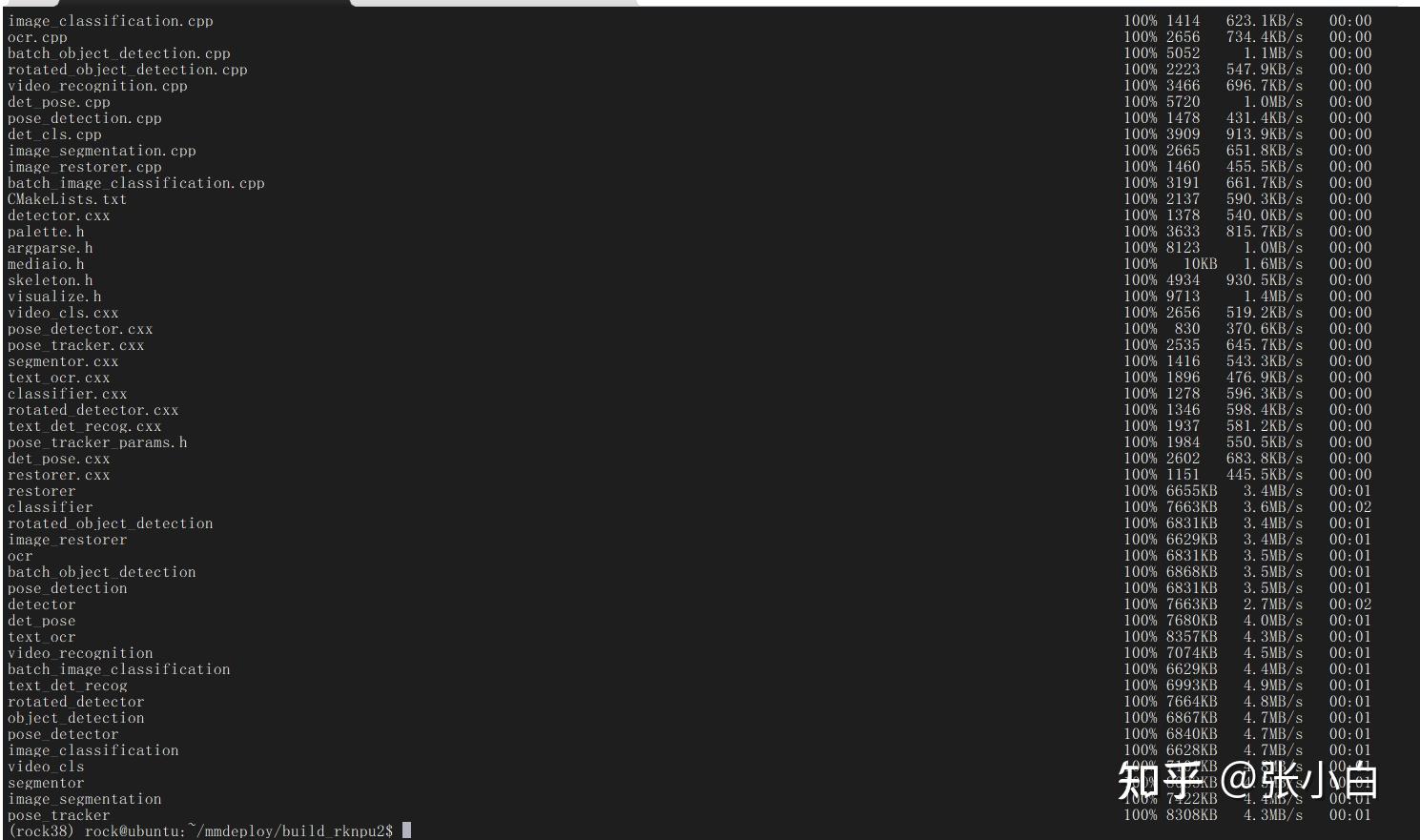 搭建MMDeploy的SDK环境并在Rock5a上完成验证 - 知乎