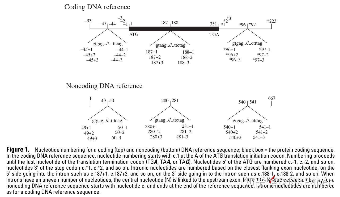 HGVS对序列变异描述的建议：2016更新版 - 知乎