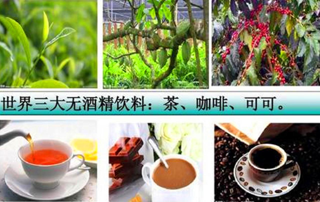 各国喝茶趣闻：印度人“拉茶”、泰国人吃腌茶、加拿大人喝枫叶茶 - 知乎