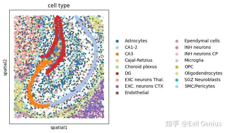 代码更新--高精度空间（Xenium、CosMx）细胞外基因表达的数据分析 - 知乎