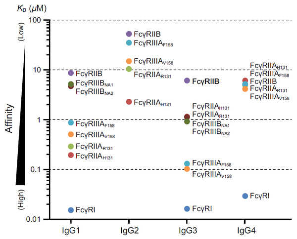 志同道合NK：AFM13+Pembrolizumab/AFM13+AB101 - 知乎
