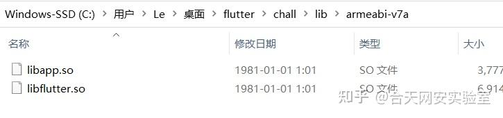 【flutter对抗】blutter使用+ACTF习题 - 知乎