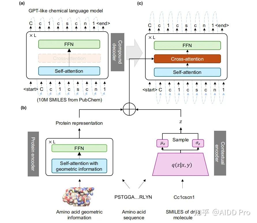 NC | 探索语言模型在药物分子生成方面的应用 - 知乎