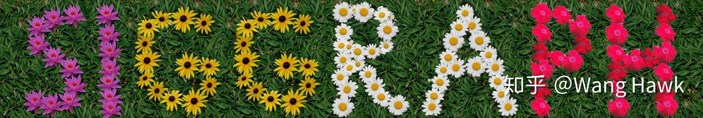 15. 如何通过缝隙拼接图像 - Graphcut Texture - 知乎