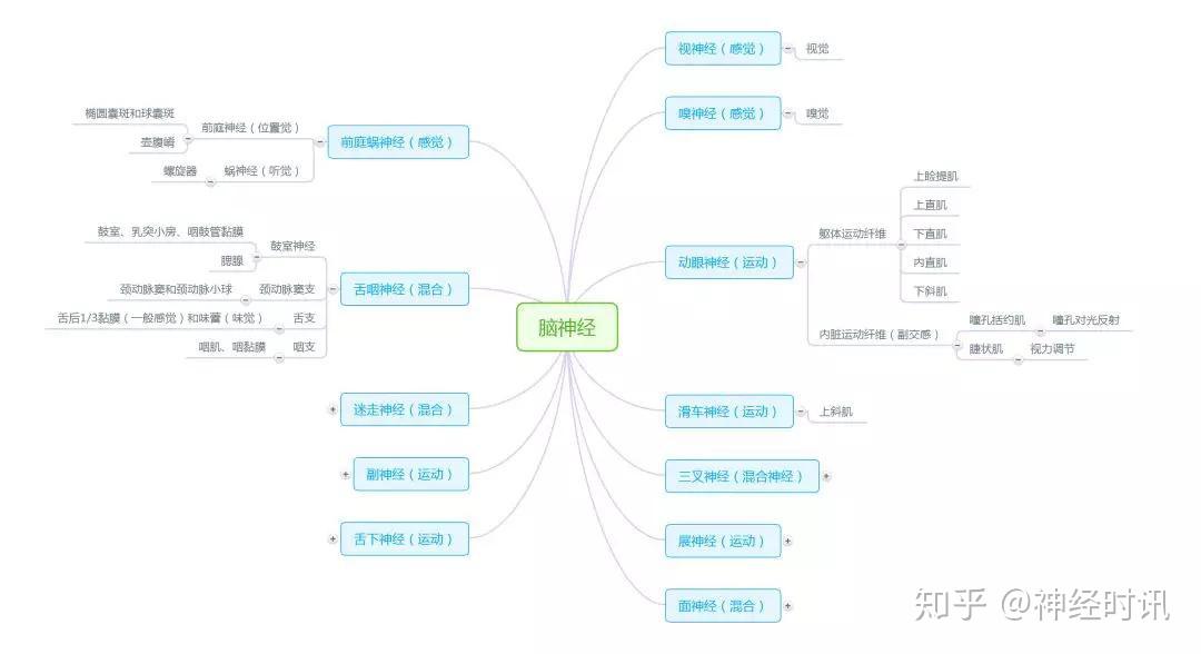 周围神经脑神经图谱以及思维导图 知乎