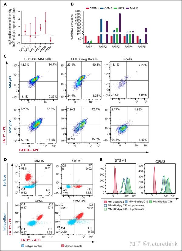 多发性骨髓瘤细胞在脂肪细胞中诱导脂肪分解并通过脂肪酸转运蛋白摄取脂肪酸 - 知乎