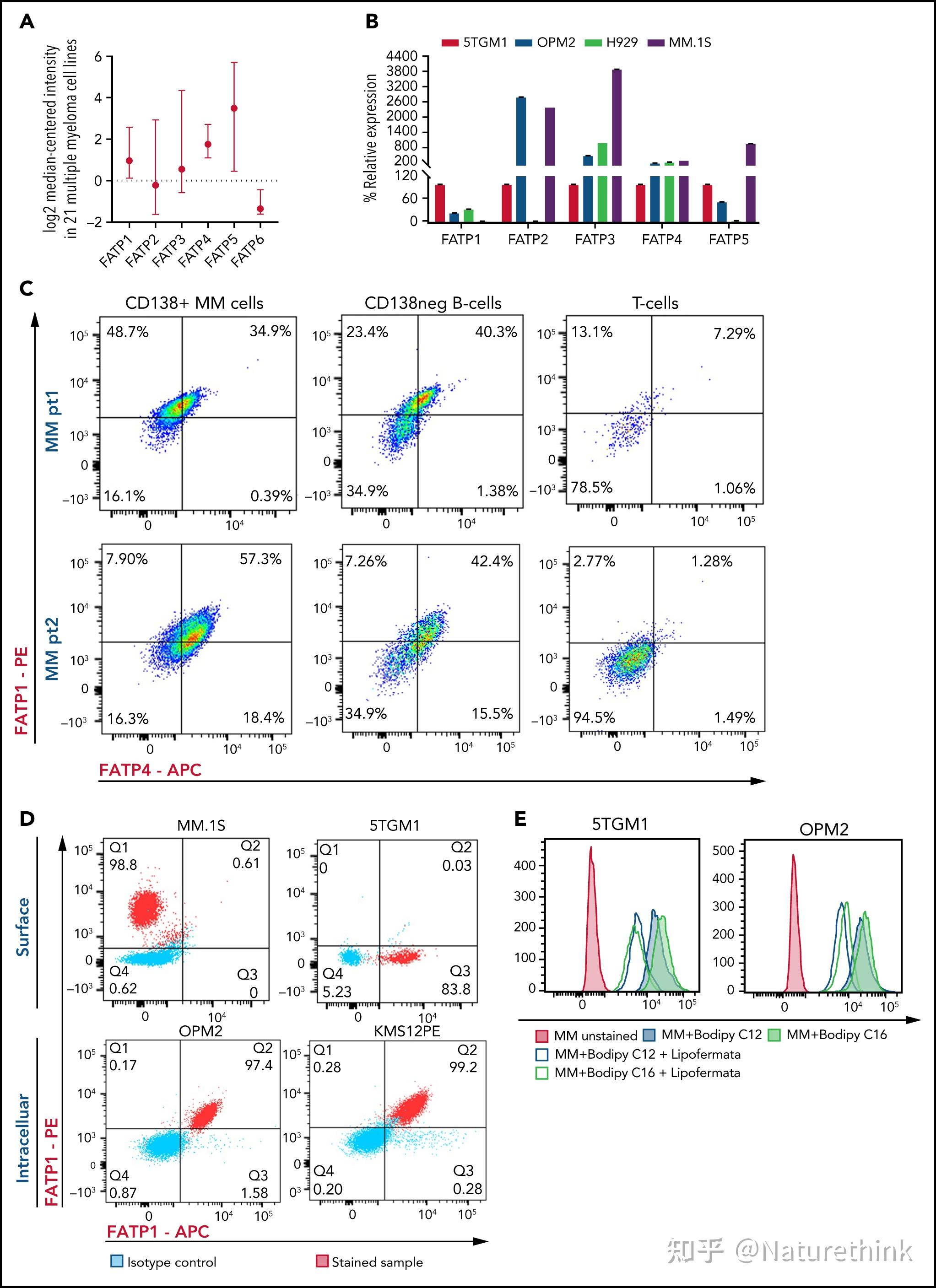多发性骨髓瘤细胞在脂肪细胞中诱导脂肪分解并通过脂肪酸转运蛋白摄取脂肪酸 - 知乎