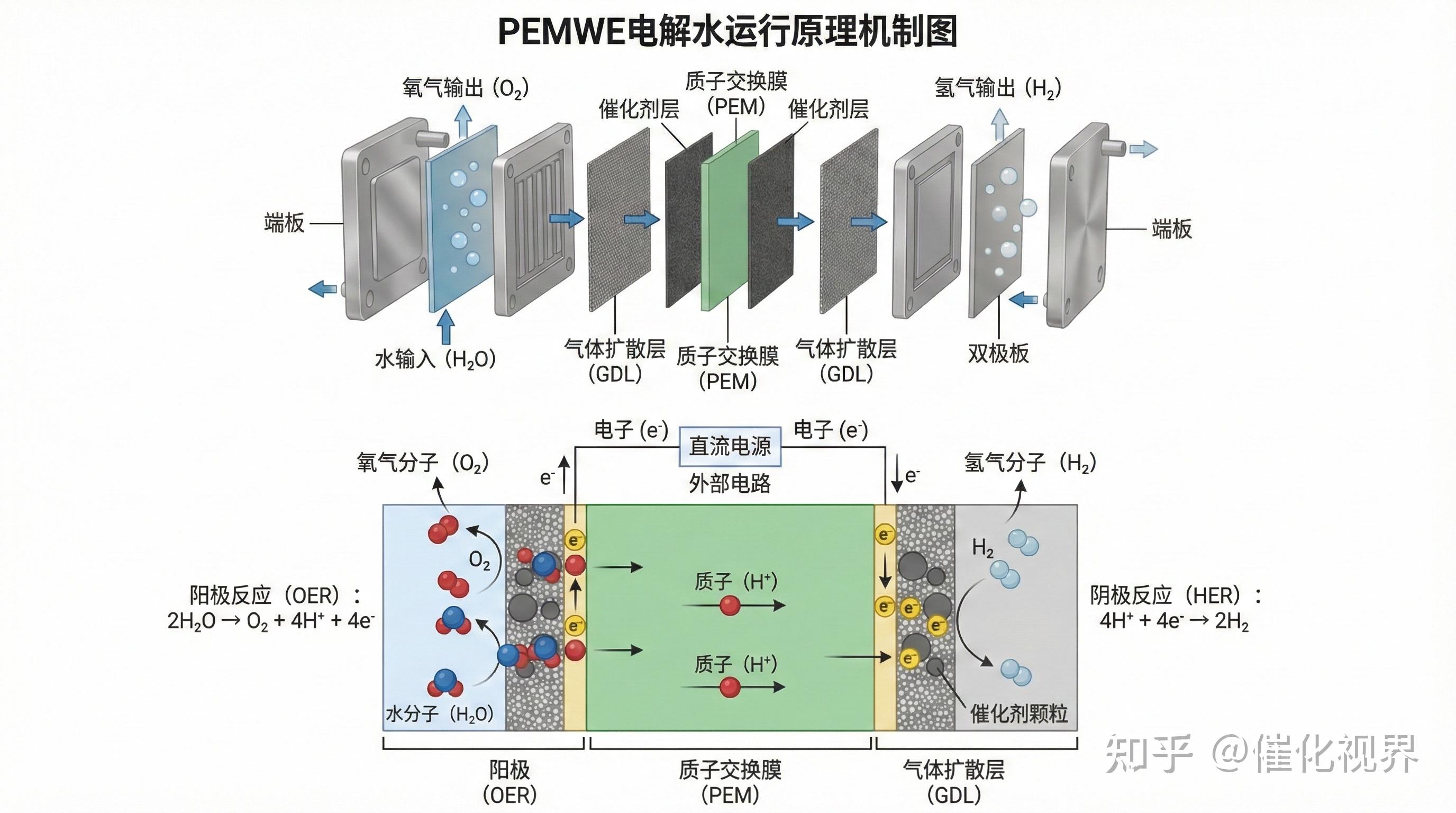 【科研笔记】PEMWE质子交换膜电解水：8张图讲透核心组件与运行机制 - 知乎