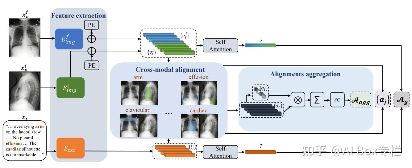 医学多模态的最新进展 - 知乎