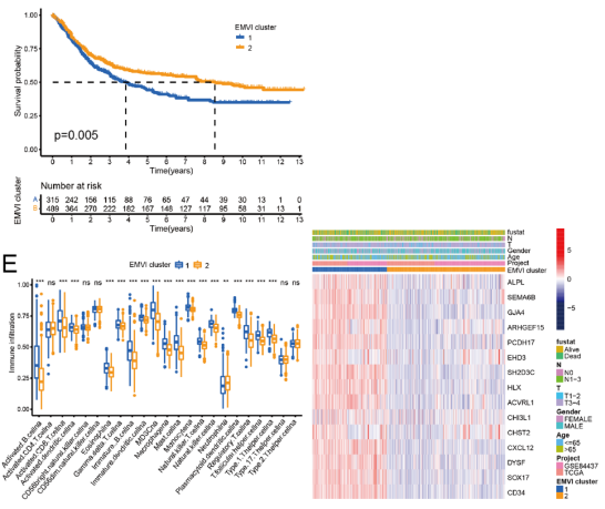 从临床问题切入，分析壁外血管侵犯(EMVI)和免疫相关基因！这篇8分+生信文章极具借鉴意义，还告诉你验证实验这么加更有价值~ - 知乎