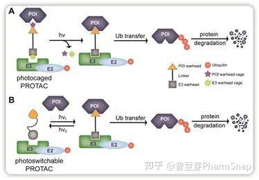 智慧芽PharmSnap | 冉冉升起的新星-光控PROTAC - 知乎