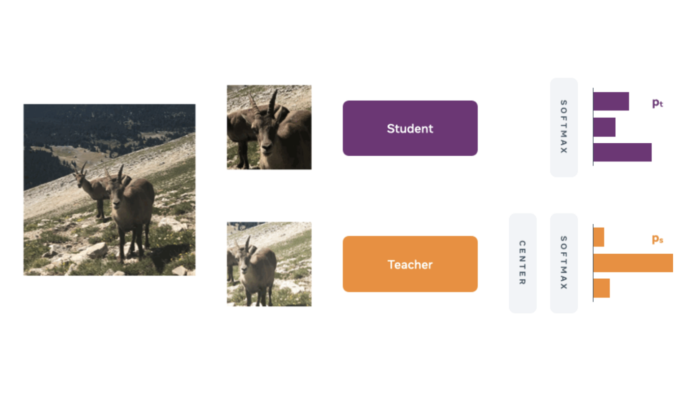 论文导读：DINO -自监督视觉Transformers - 知乎