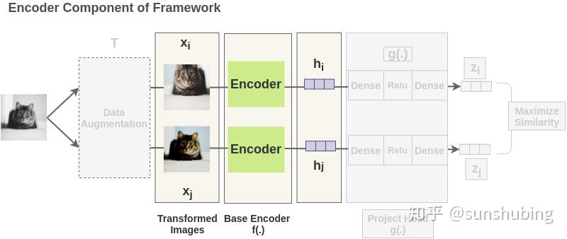 图解SimCLR框架 - 知乎