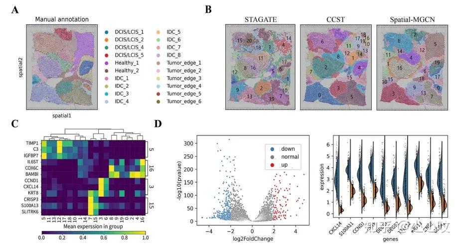 空转分析工具 | Spatial-MGCN：基于注意机制识别空间域的新型多视图卷积网络 - 知乎