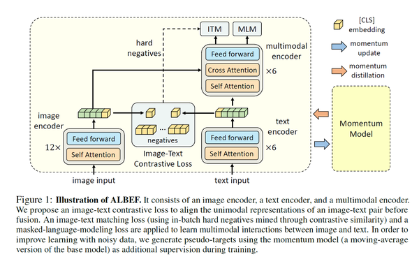 对比学习在NLP和多模态领域的应用 - 知乎