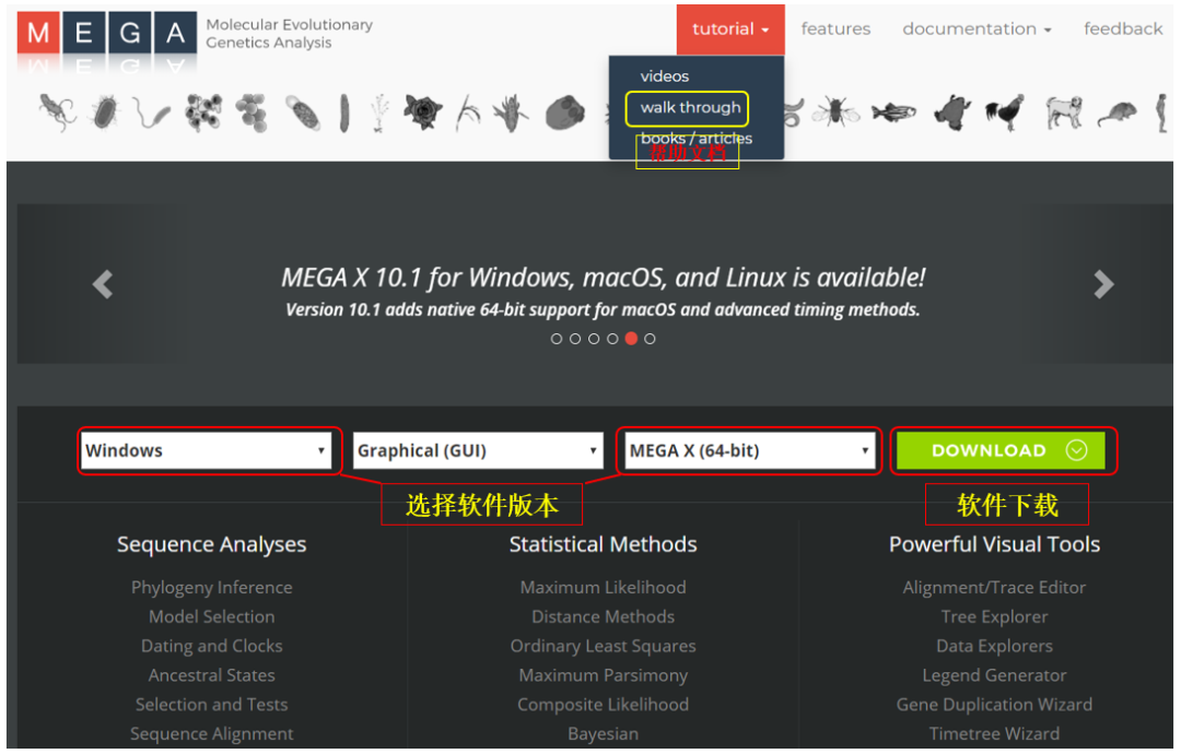 常用生物学软件的安装与应用（四）—MEGA - 知乎