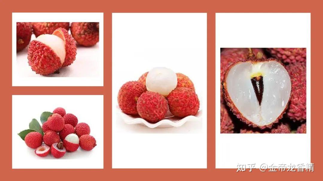 香精与香料(162)—荔枝 - 知乎