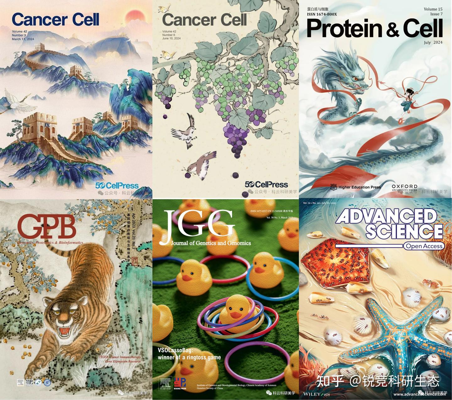 STTT 封面设计全过程分享 | Vol.9 No.11 - 知乎