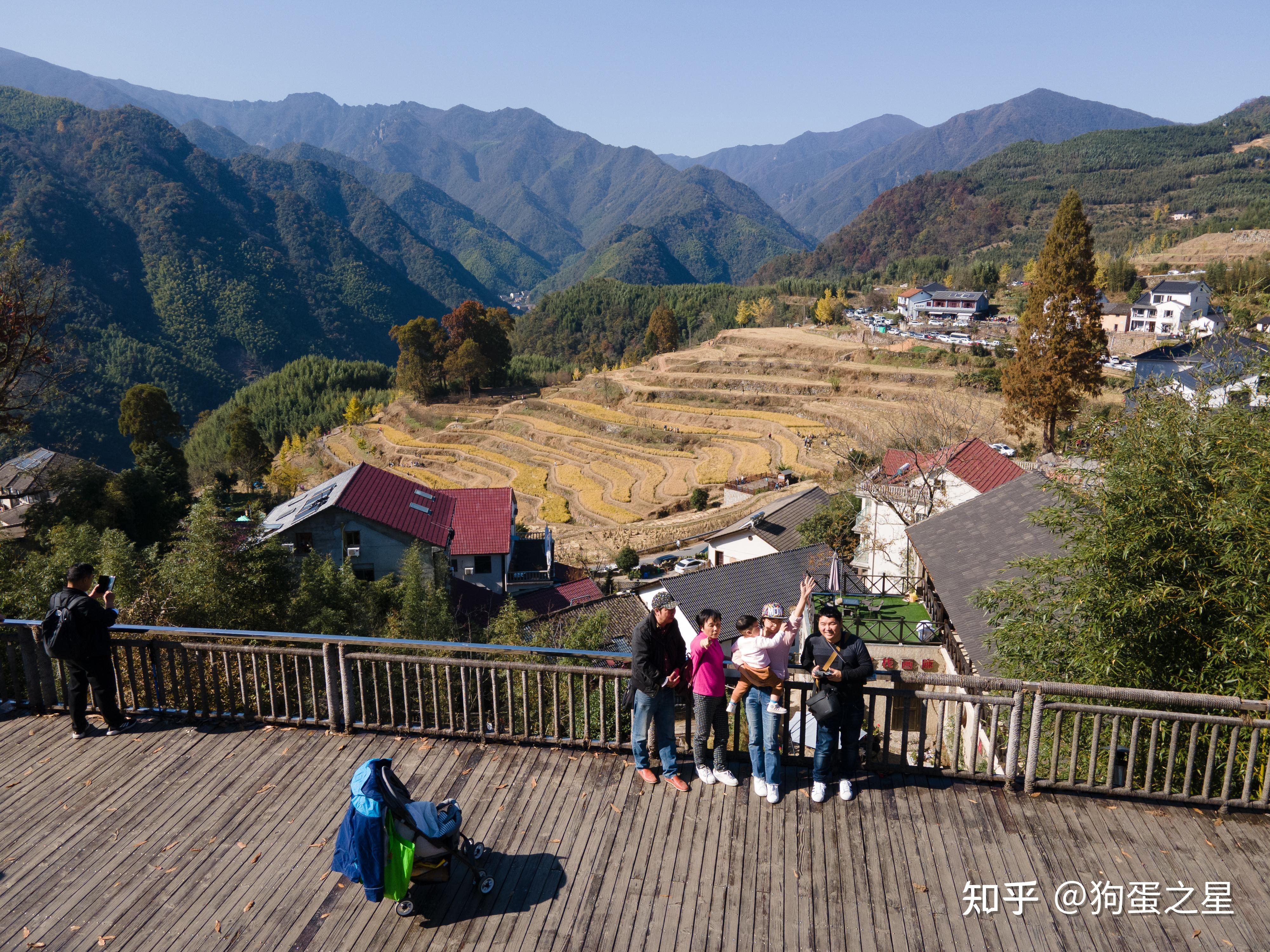 测评当前最强的单目深度估计模型--DepthPro（2025） - 知乎