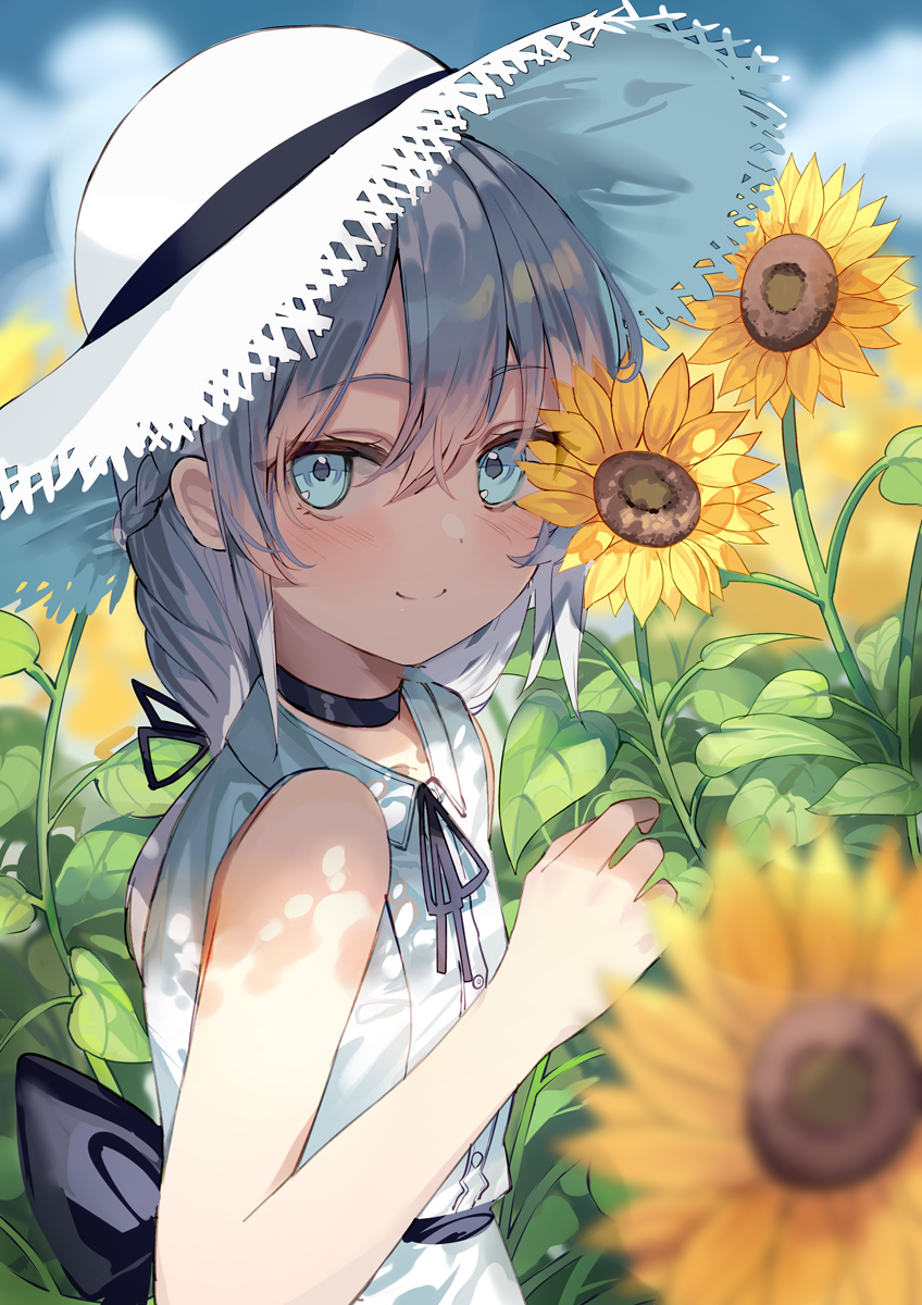 【P站画师】あろあ-8384368|二次元&美图 - 知乎