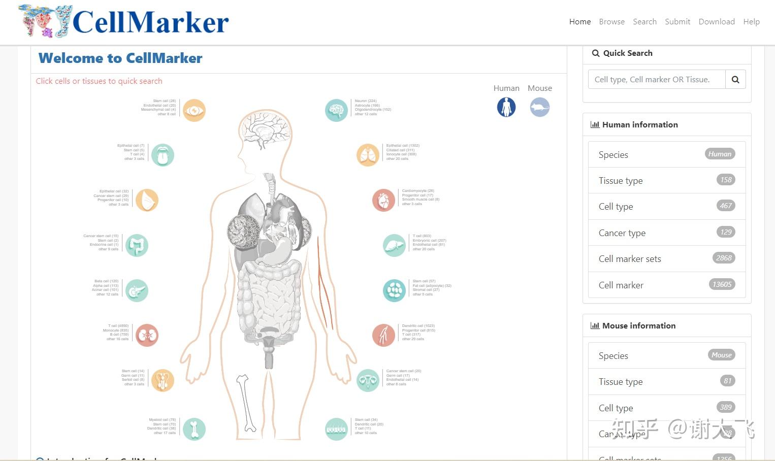 CellMarker使用初探 - 知乎