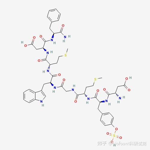 Sincalide（辛卡利特）；CCK硫酸化八肽 - 知乎