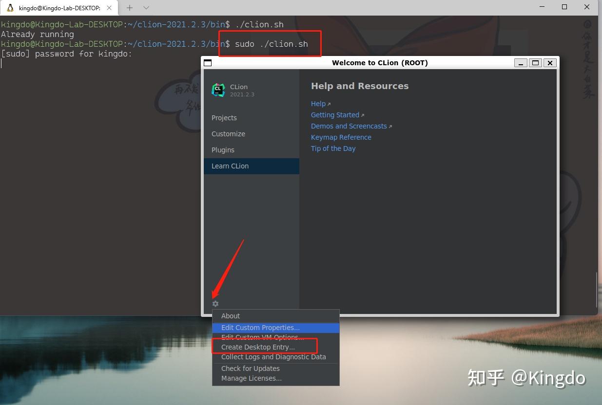 WSL2 基于WSLg运行Clion等GUI应用 - 知乎