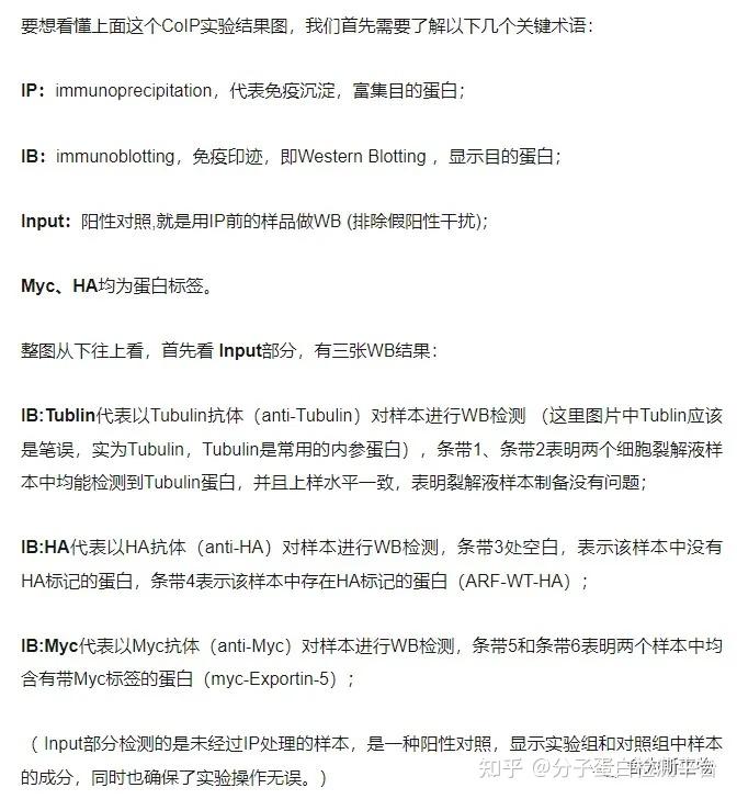 同是证明蛋白间直接互作，GST pull-down和CoIP有何区别？实验结果该如何解读？ - 知乎
