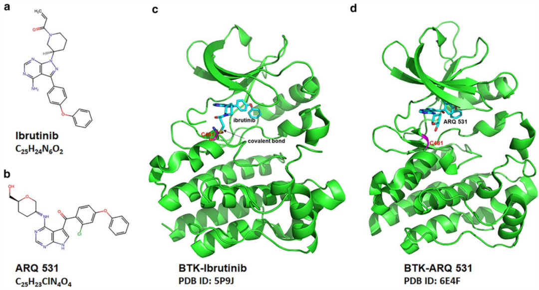 Focus | BTK抑制剂，方兴未艾 - 知乎