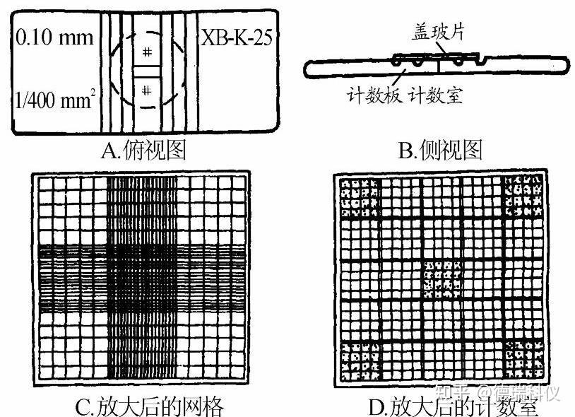 细胞计数器-仪器知识-细胞计数的正确方法你学会了吗？ - 知乎