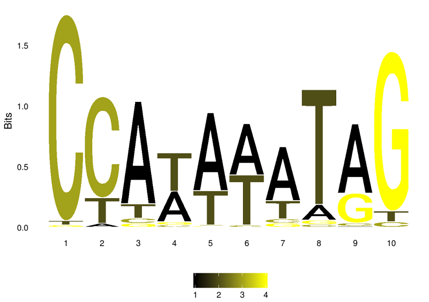 利用ggseqlogo绘制seqlogo图 - 知乎