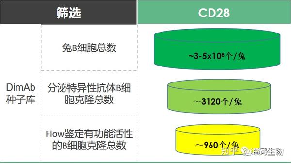 肿瘤免疫靶点 | CD28 - 知乎