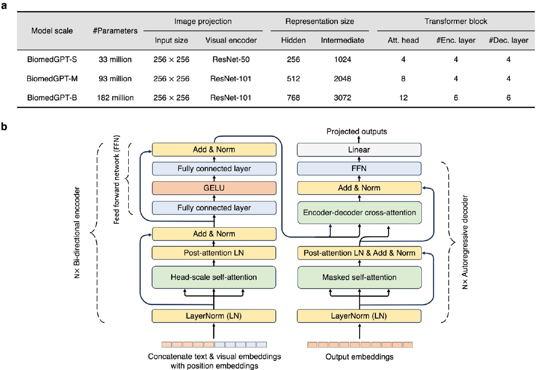 （2024|Nature Medicine，BiomedGPT，生物医学 AI）面向多种生物医学任务的通用视觉-语言基础模型 - 知乎