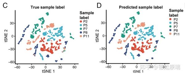 PNAS | 杨朝勇教授团队发表高效单细胞混样拆分新方法mitoSplitter，助力WPS单细胞测序平台实现“多快好省” - 知乎