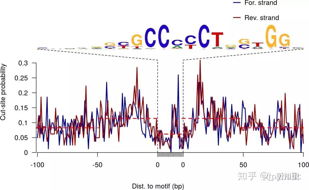 ATAC-seq数据分析 - 知乎