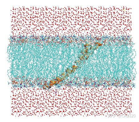 GROMACS复杂体系构建之利用CHARMM-GUI工具 - 知乎