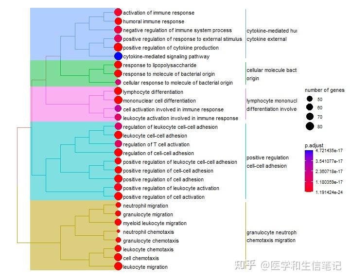 enrichplot富集分析可视化 - 知乎