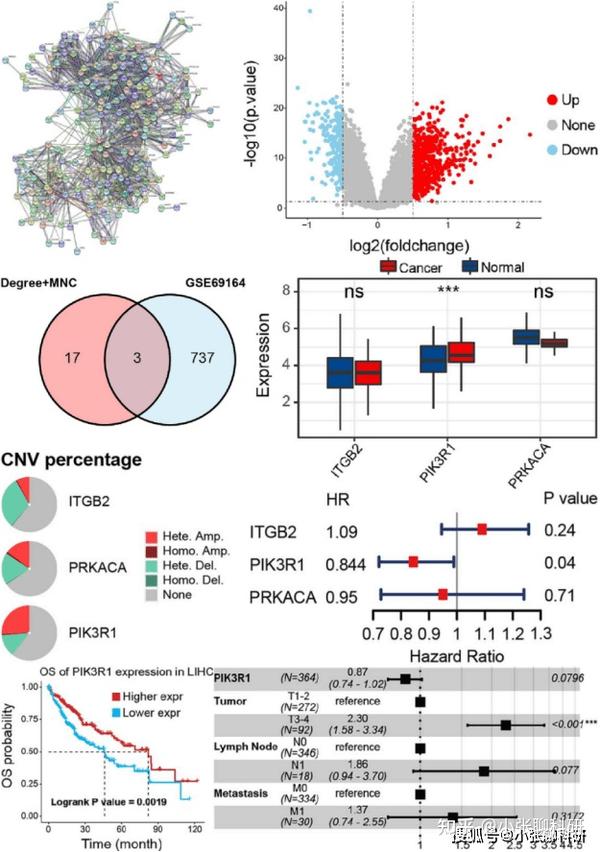 文献详解丨一文看懂发高分生信文章的诀窍秘籍！ - 知乎