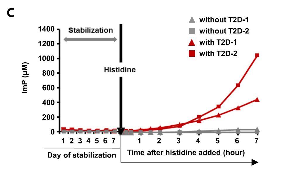 连接肠菌与宿主的桥梁：肠菌代谢物——肠菌功能研究新篇章 - 知乎