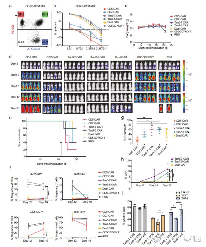 CAR-T疗法新思路：CD5/CD7串联CAR有效减轻肿瘤抗原逃逸 - 知乎