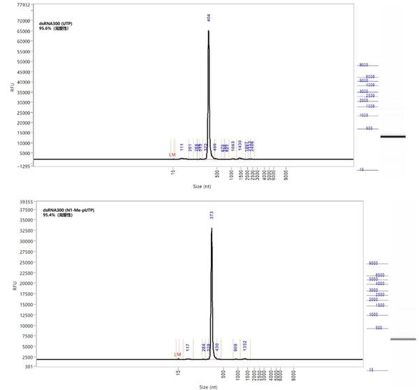 吸睛系列(二)丨一文了解mRNA IVT副产物dsRNA - 知乎