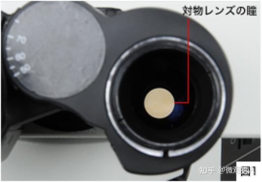 显微基础丨显微镜基础操作指南（明场） - 知乎