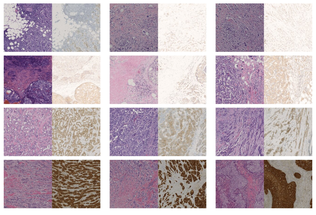 BCI 数据集介绍 - 知乎