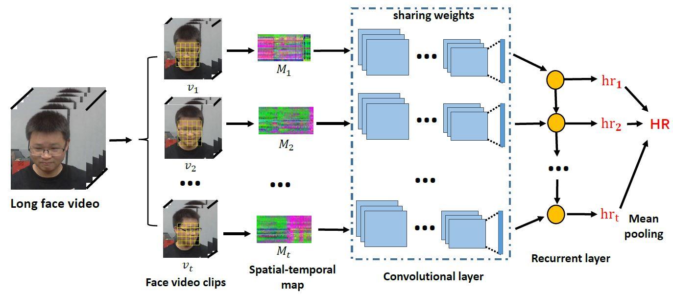IEEE TIP | VIPL实验室提出遥测式人脸心率估计新方法 - 知乎