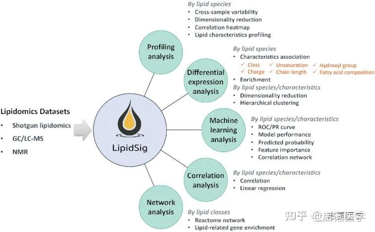 脂质组学分析工具：LipidSig和LipidSuite - 知乎