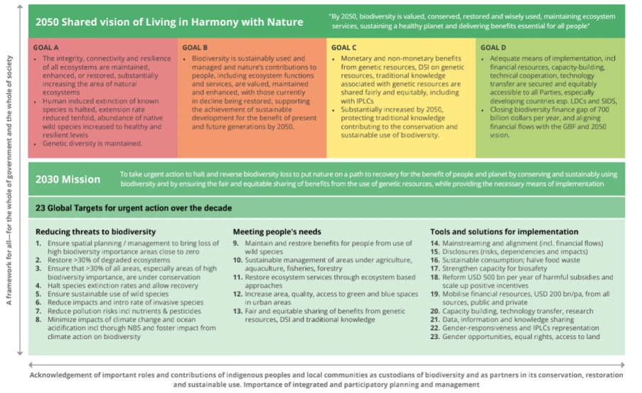 联合国机构发布高级别路线图：根据《昆明-蒙特利尔全球生物多样性框架》调整资金流 - 知乎