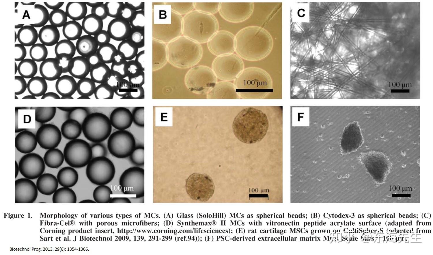 渐行渐近的MSC的3D培养 - 知乎